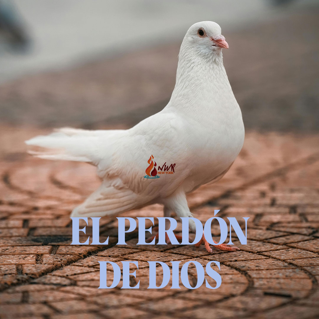 EL PERDÓN DE DIOS – New Wine Revival International Ministries